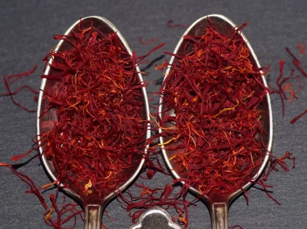 Saffron Desserts Recipes: Delicious Persian Sweets to Try at Home
