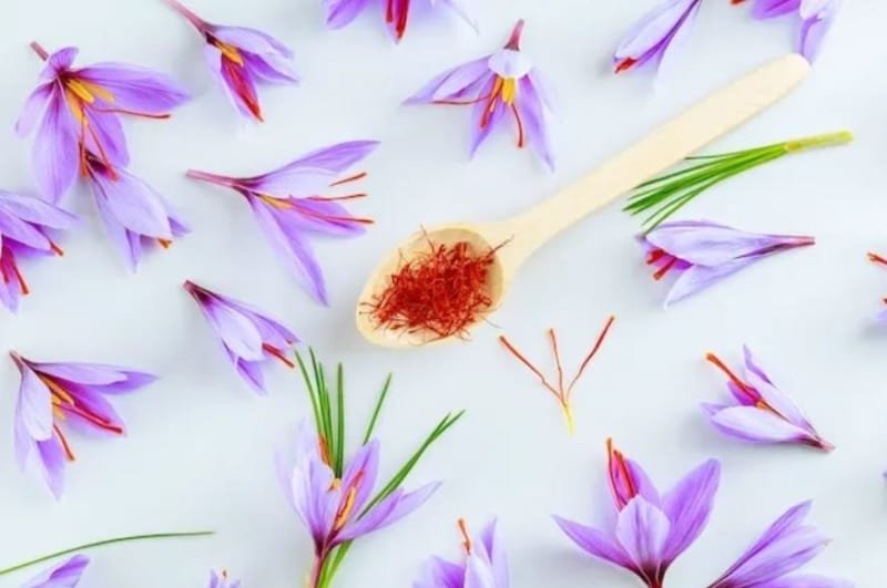 Saffron Extraction Techniques